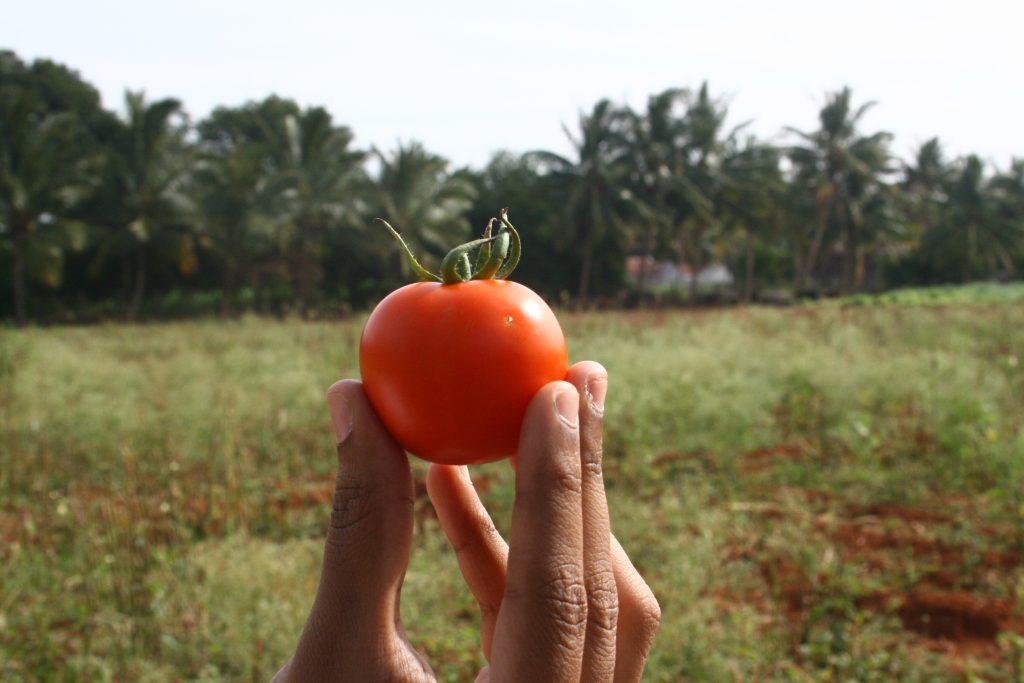 The Farm Visit – biobasics
