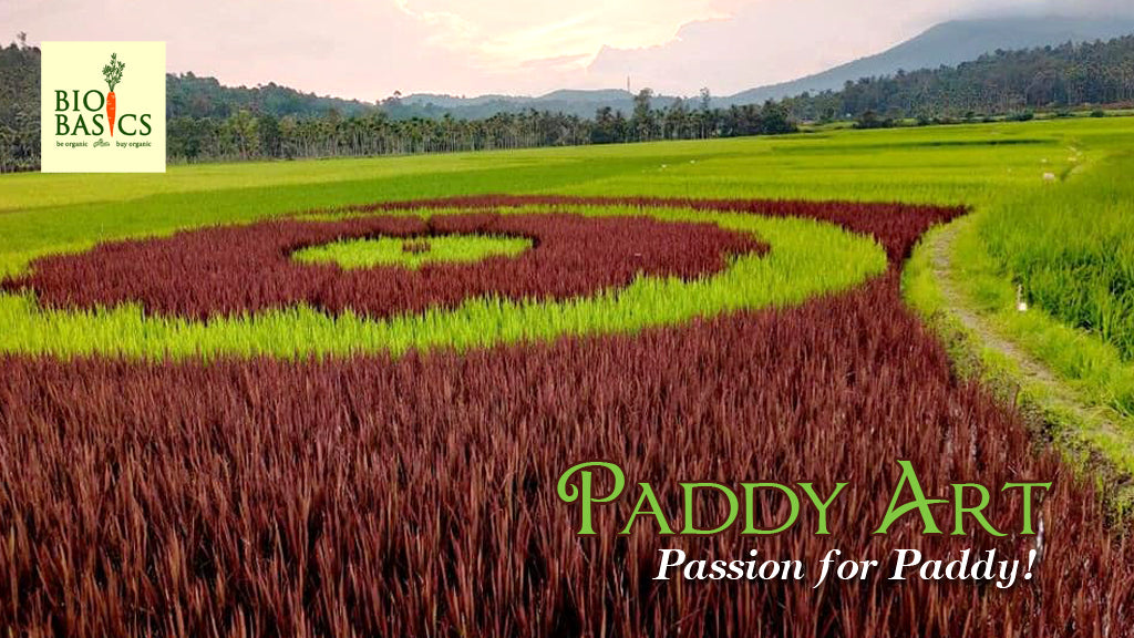 Passion for Paddy – Paddy Art – biobasics