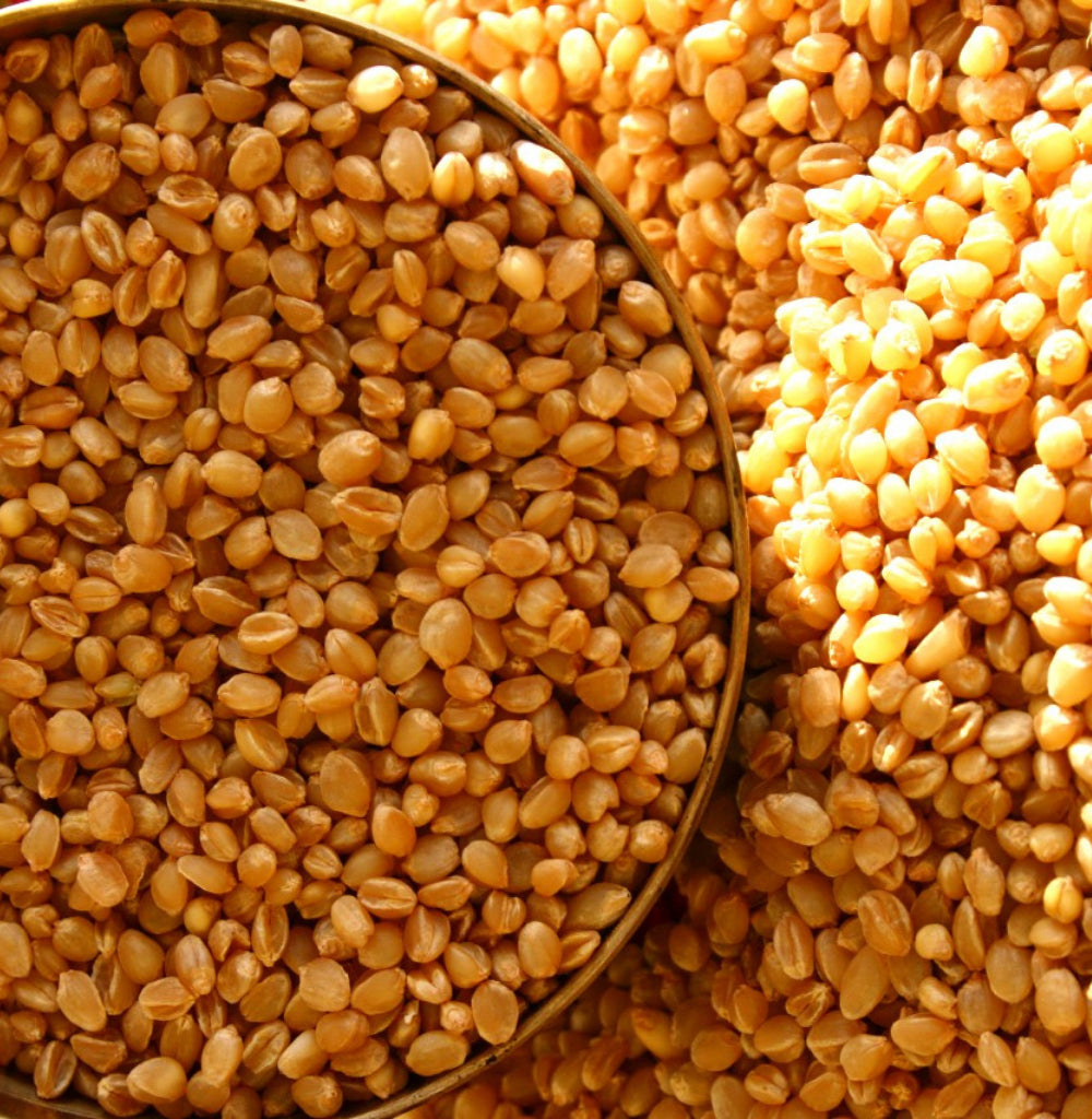 Why Eat Indigenous Wheats? – biobasics