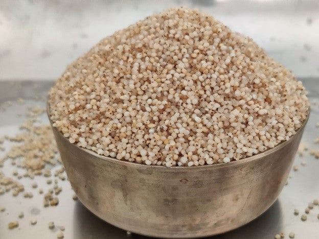 The millet that grows in the barnyard! – biobasics