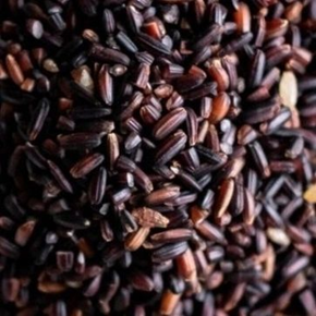 The rice that makes bread - Kala malliphulo rice – biobasics